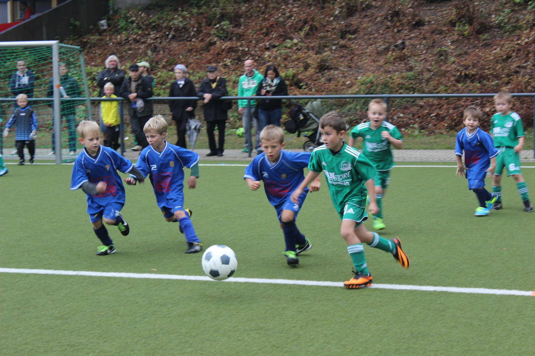 Umzuge Willing Essen Bewertung