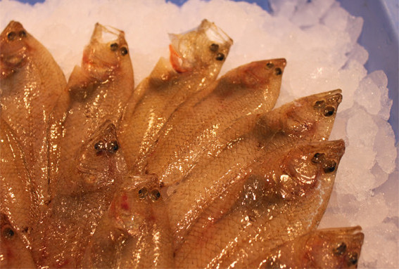 PESCADO PEQUEÑO DEL MERDITERRÁNEO - delmaralamesa