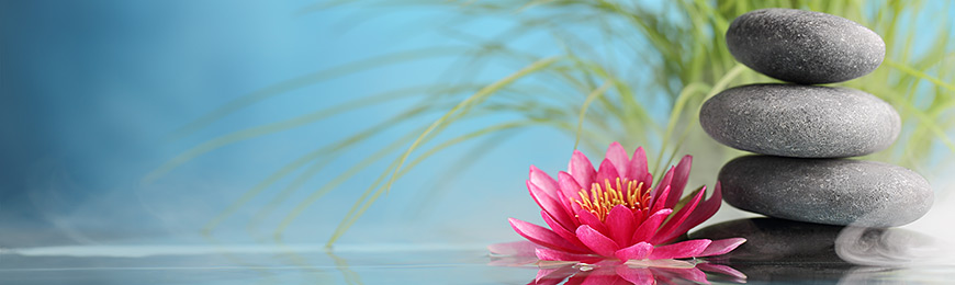 Zenergie Lanaken - Zenergie