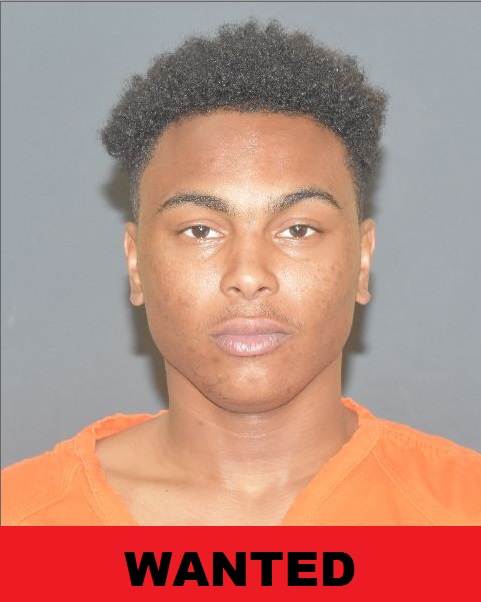 CPSO ARRESTS JUVENILE & ISSUES WARRANT FOR MAN RESPONSIBLE FOR VEHICLE ...