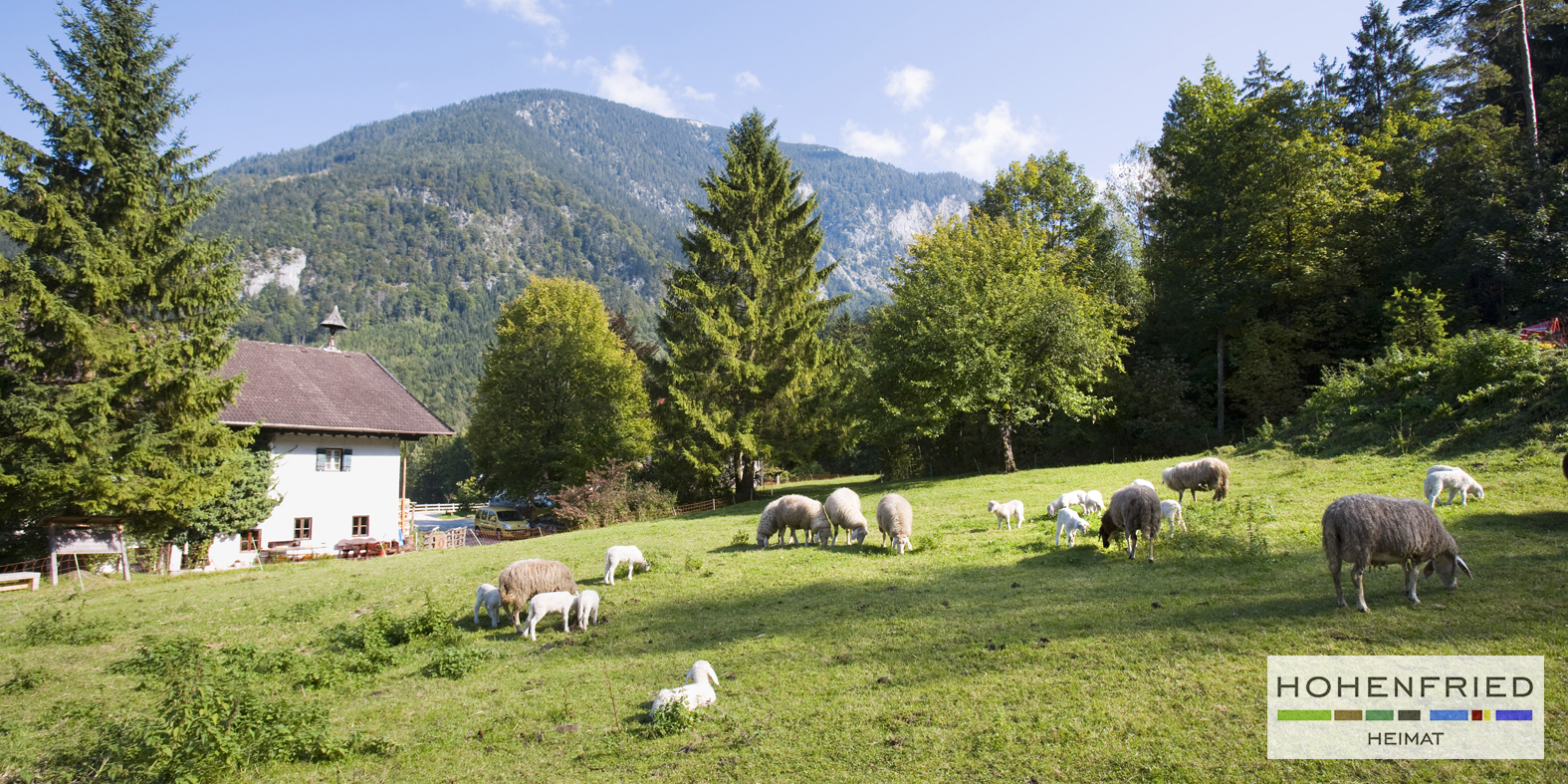 Home - Hohenfried e.V.