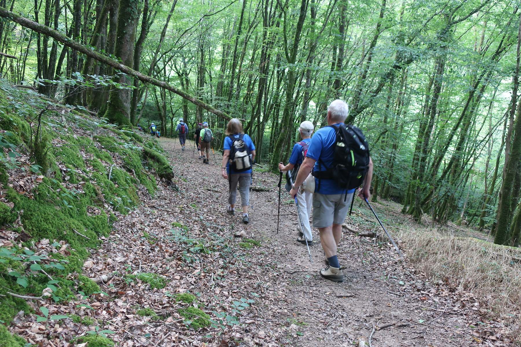 partenaires - randonnée montlucon