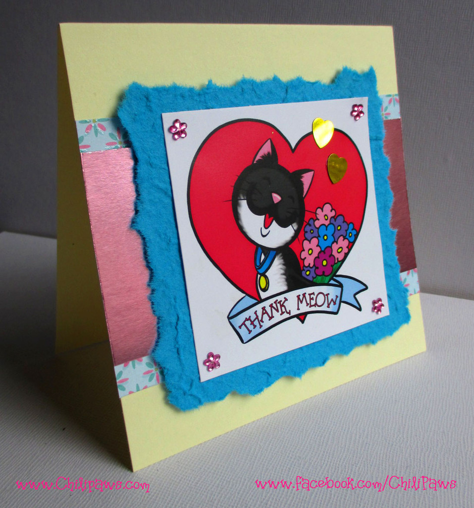 Thank Meow - Chili Paws by Bianca Massonet