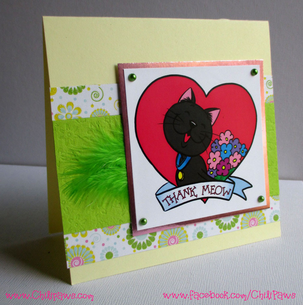 Thank Meow - Chili Paws by Bianca Massonet