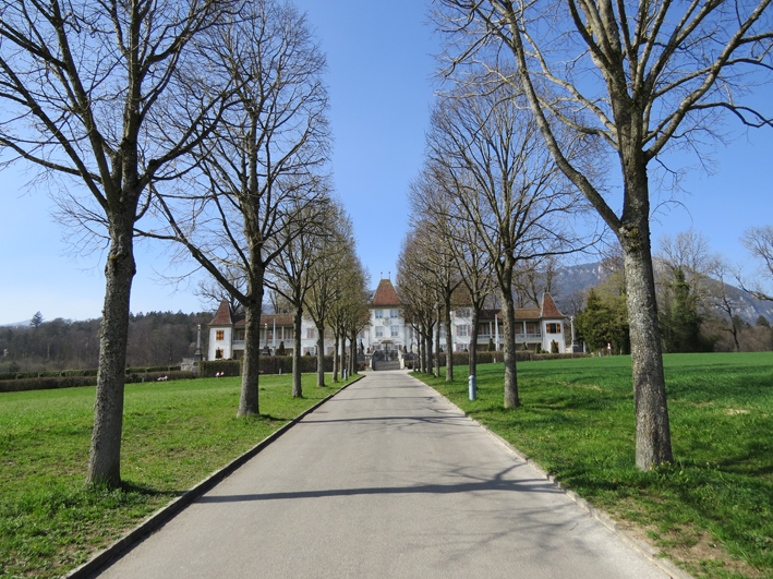Sehenswürdigkeiten Schloss Waldegg - Die besten Reisetipps