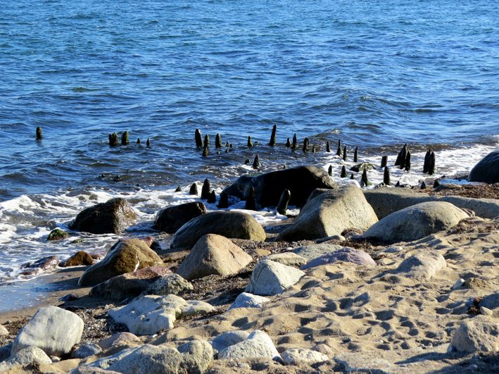 Sehenswürdigkeiten Gedser Odde - Die besten Reisetipps