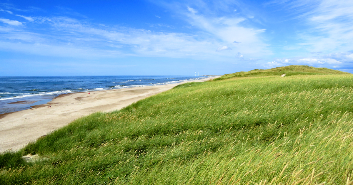 Sehenswürdigkeiten Holmsland Klit - Die besten Reisetipps