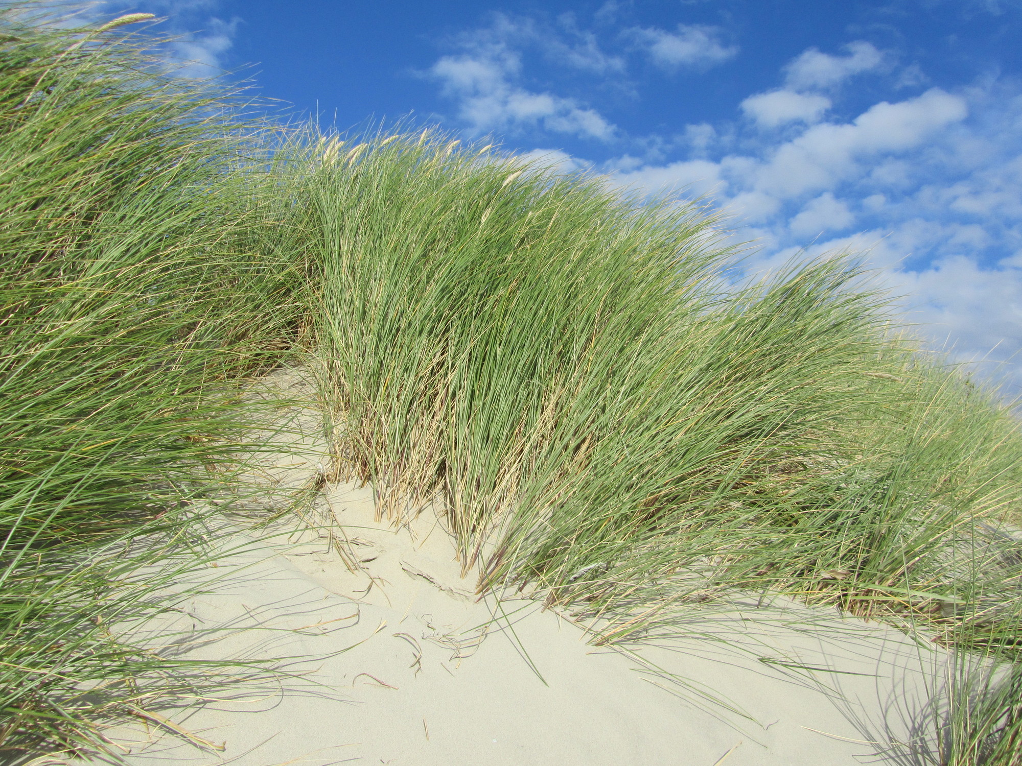 Unser Team - Hausarztpraxis & Sportmedizin Dr. Labuda