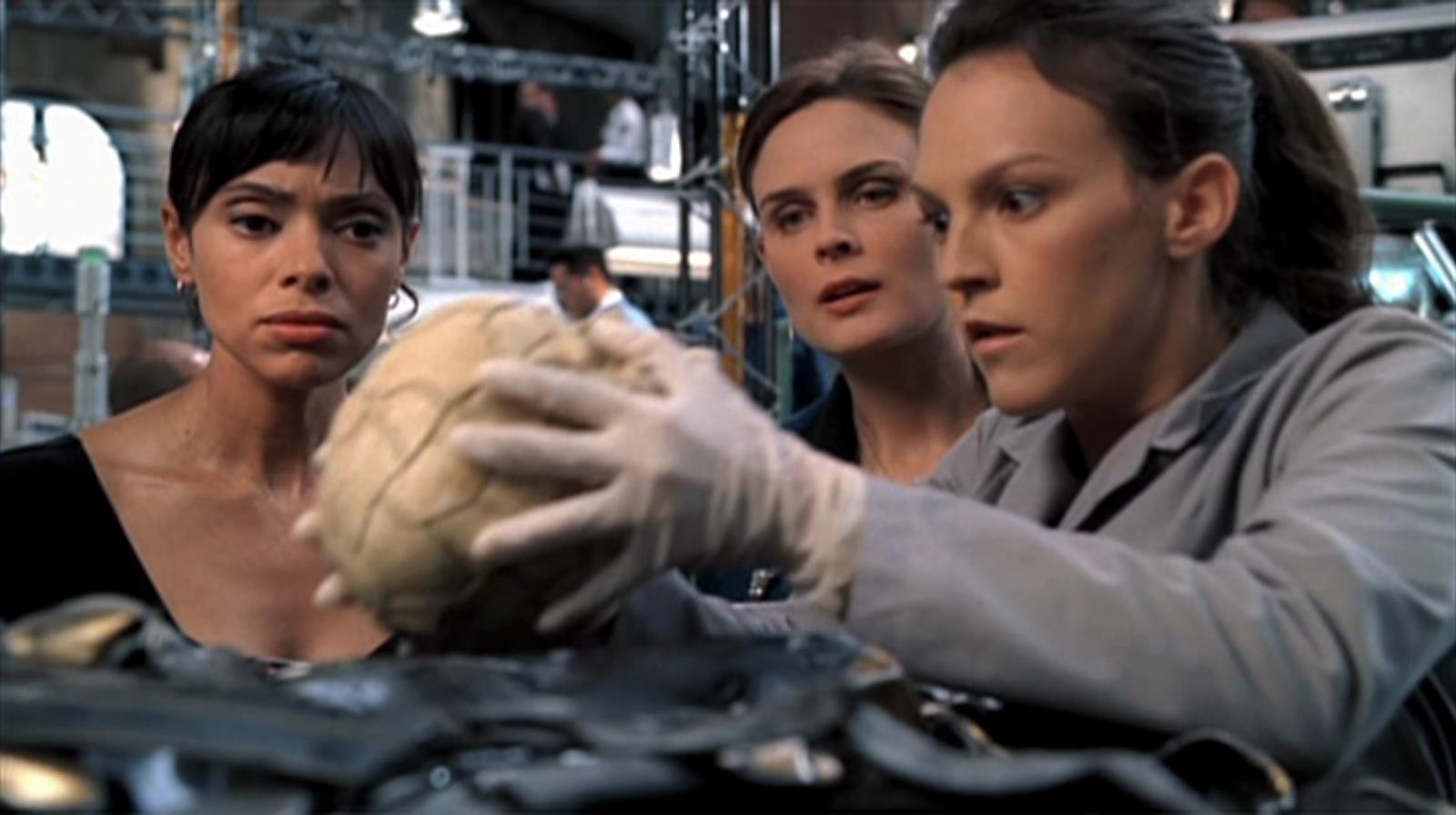 Daisy Wick - Fansbones