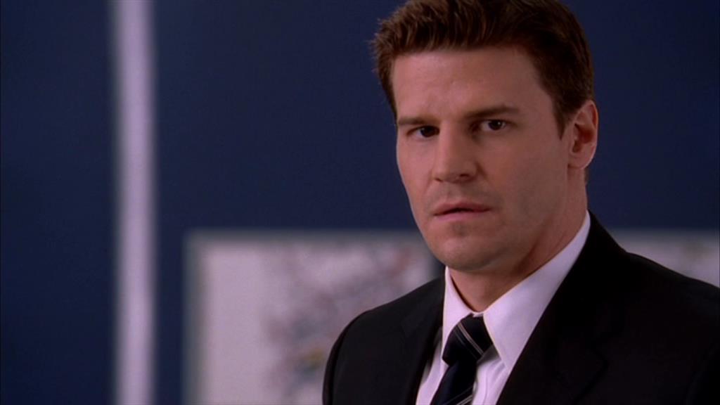 Seeley Booth - Fansbones