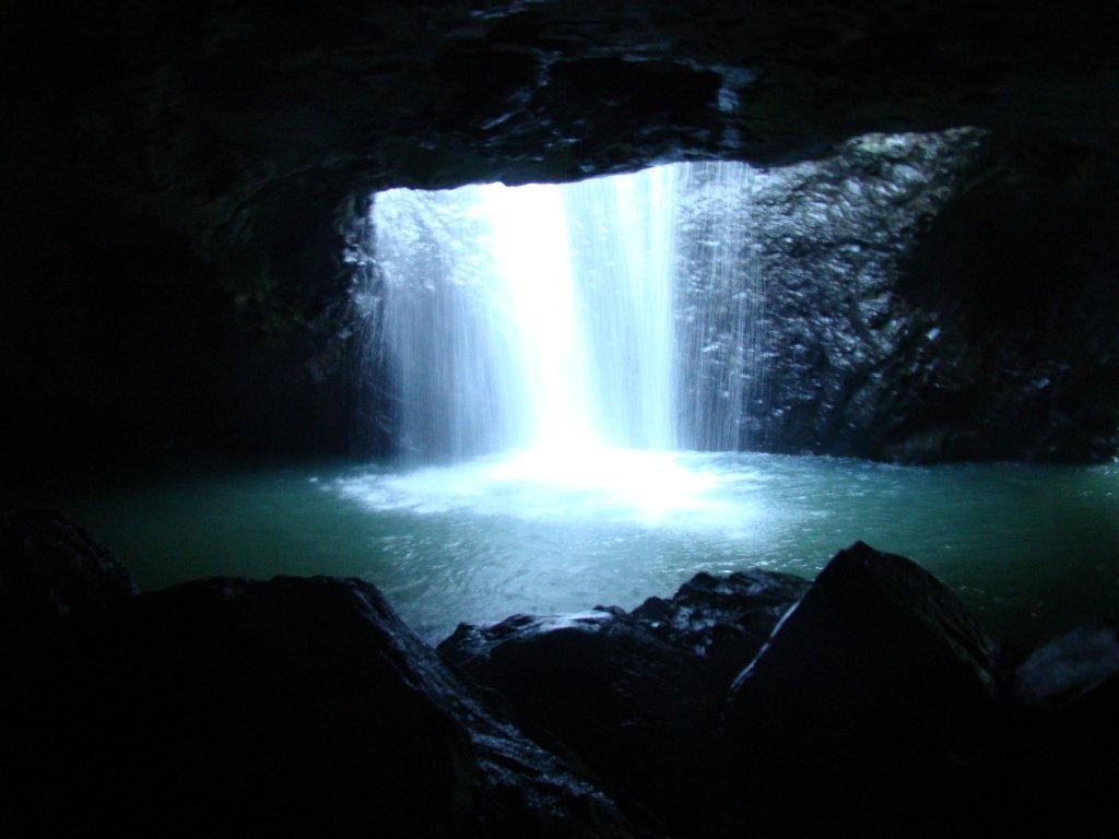 Springbrook National Park - australian experience
