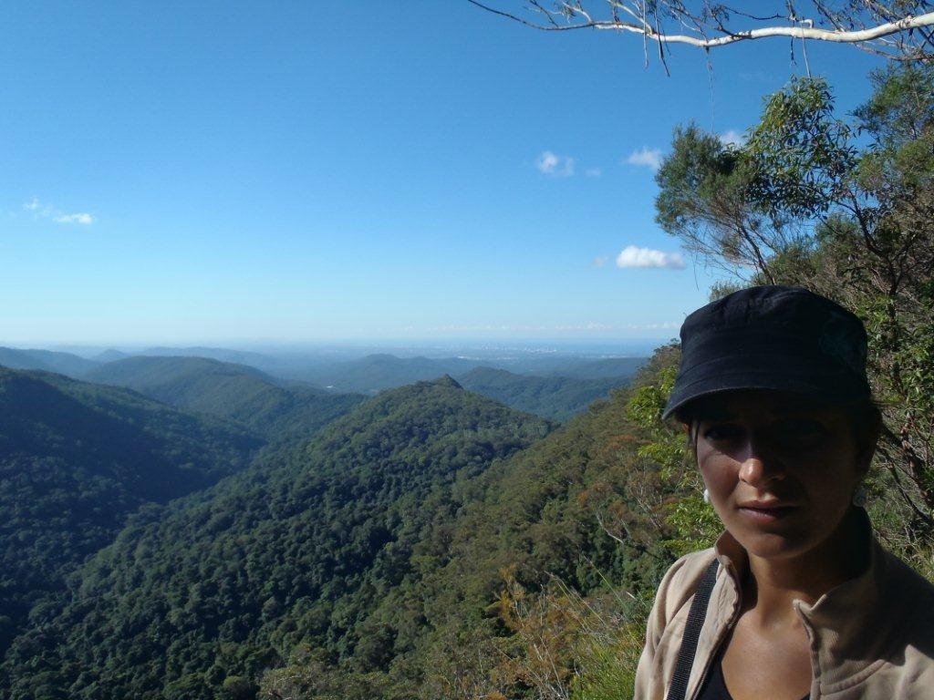 Springbrook National Park - australian experience