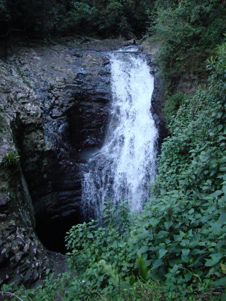 Springbrook National Park - australian experience