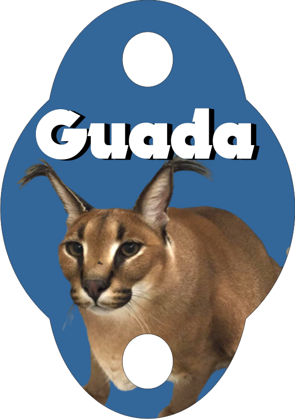 Gato Big floppa - Página web de diseñokitdecumpleaños
