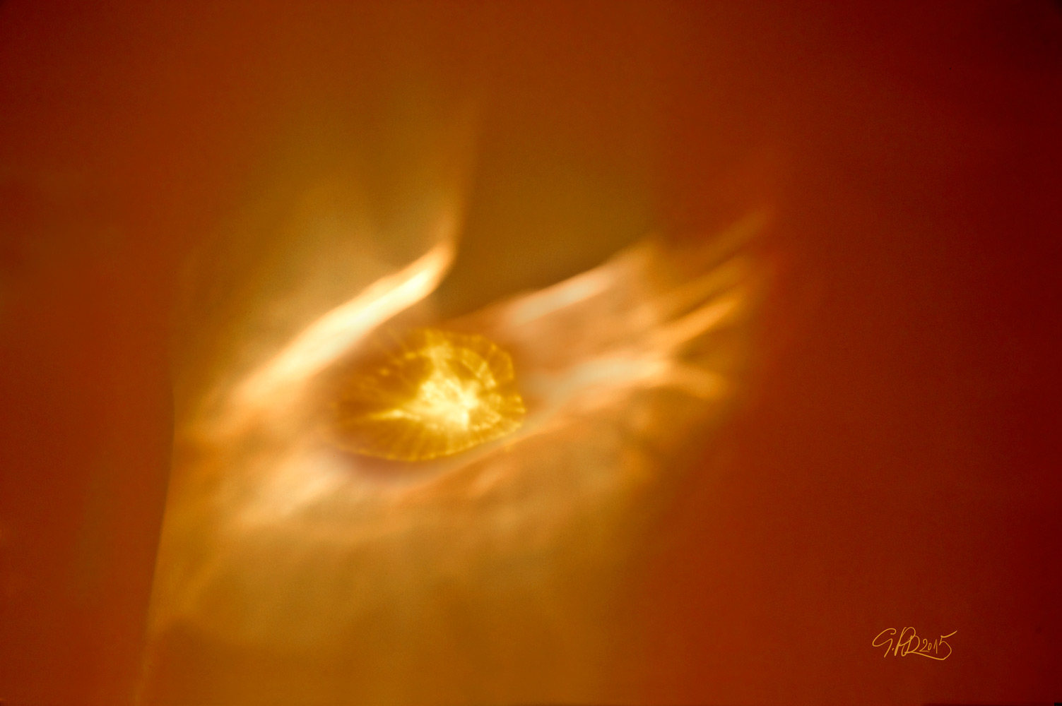 Galerie Bilder - peter-raba-art Webseite!