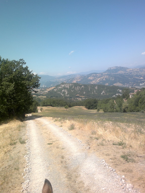 TREKKING 2 - Appennino Horse Trekking