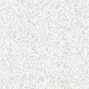 Research - Site de rinaldo-poli