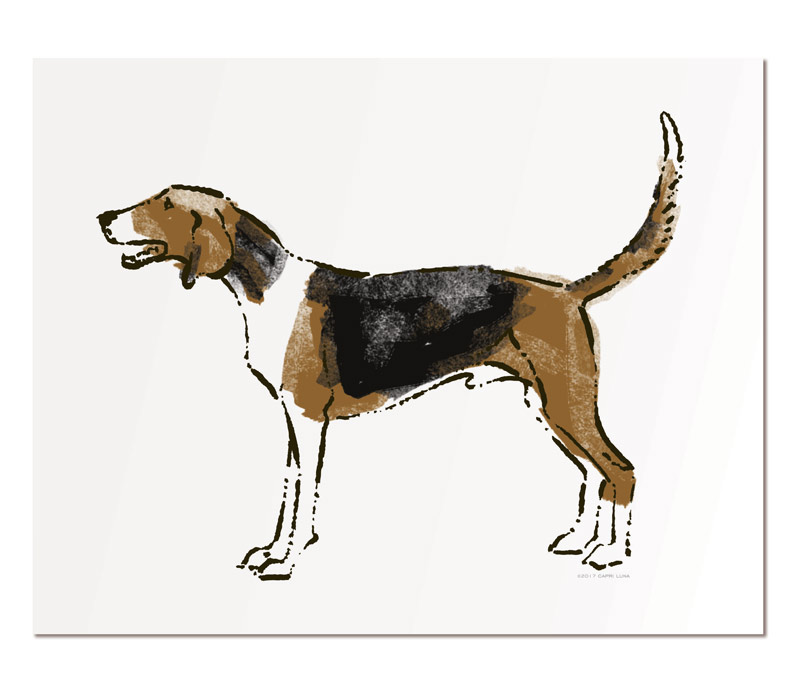 Hound 11x14" print - CAPRI LUNA notes and papers