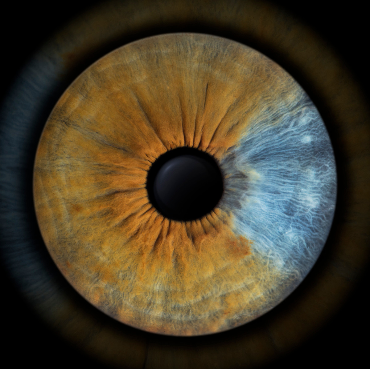 Eye am art - eye am you - agentur-lumens Webseite!