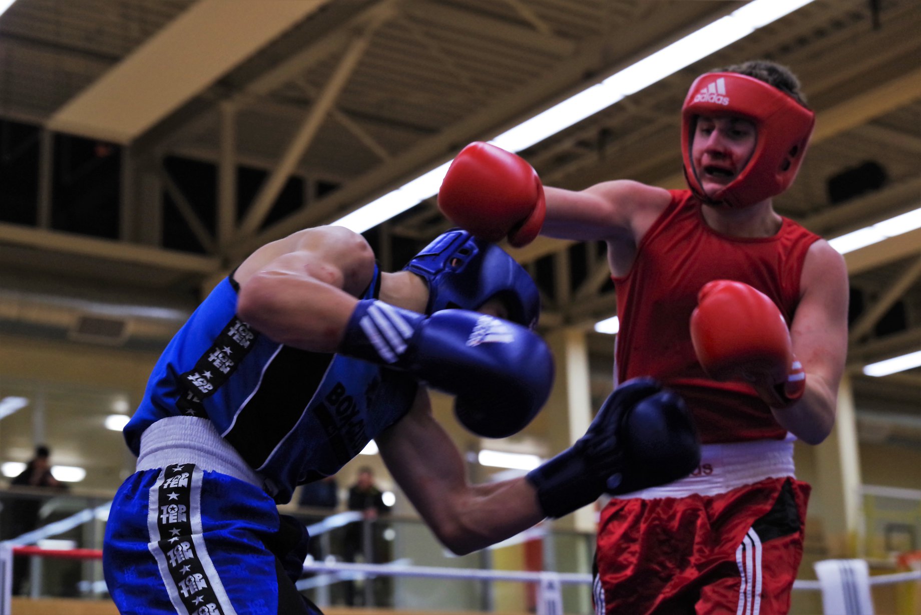 Boxkampf - boxenbadens Webseite!