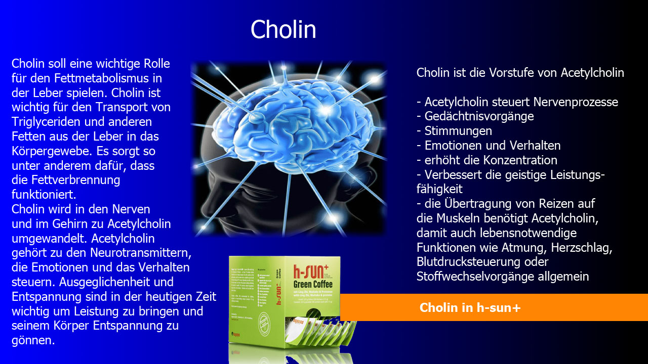 Cholin / Acetylcholin gegen Gedächtnis- und Konzentrationsstörungen und ...
