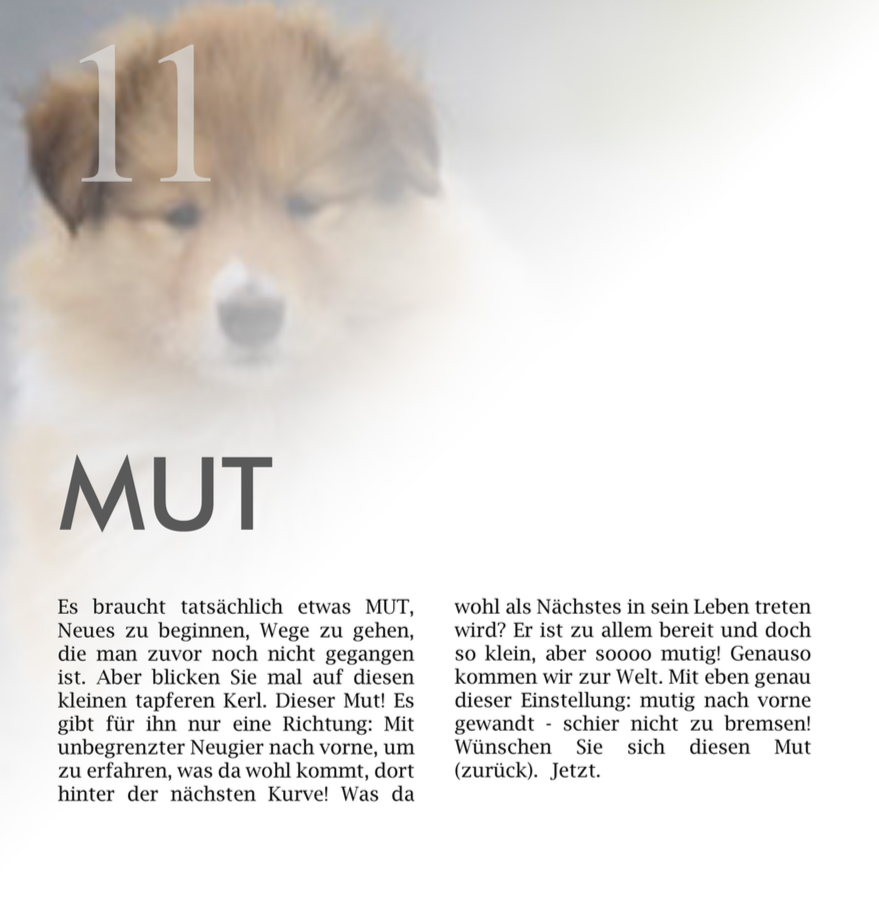 LESEPROBE zum neuen Buch von Norbert Stolze: "EIN-WORT-WUNSCH-MEDITATIONEN" Zu den Wunsch-Themen ...