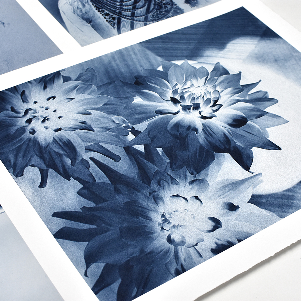 Thomas Ruff - VogelART – limited contemporary art editions