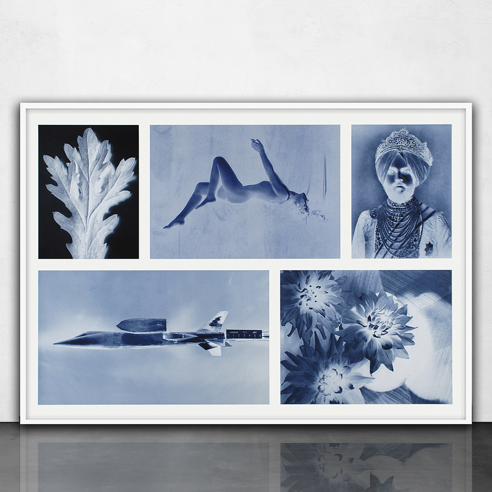 Thomas Ruff - VogelART – limited contemporary art editions