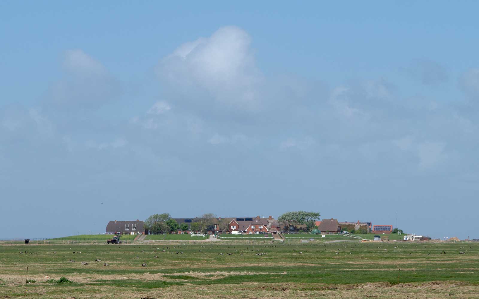 Anreise - Friesenpesel Restaurant auf Hallig Hooge