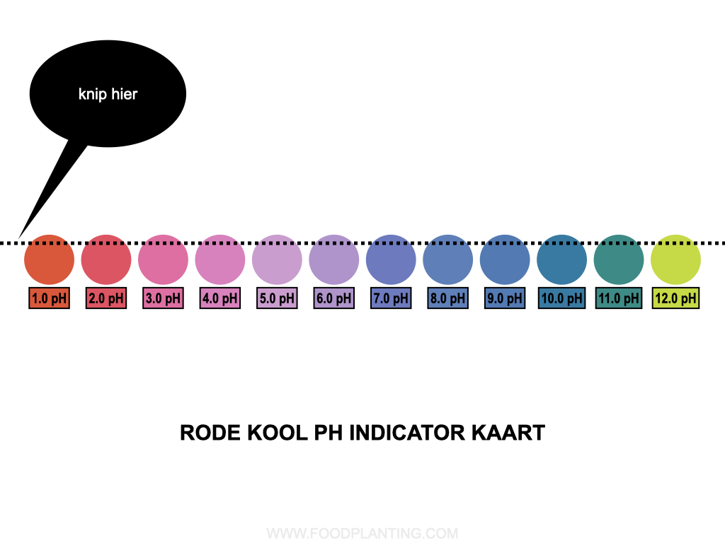 Organisch Bemesten: Zelf Een pH Indicator Maken Van Rode Kool ...