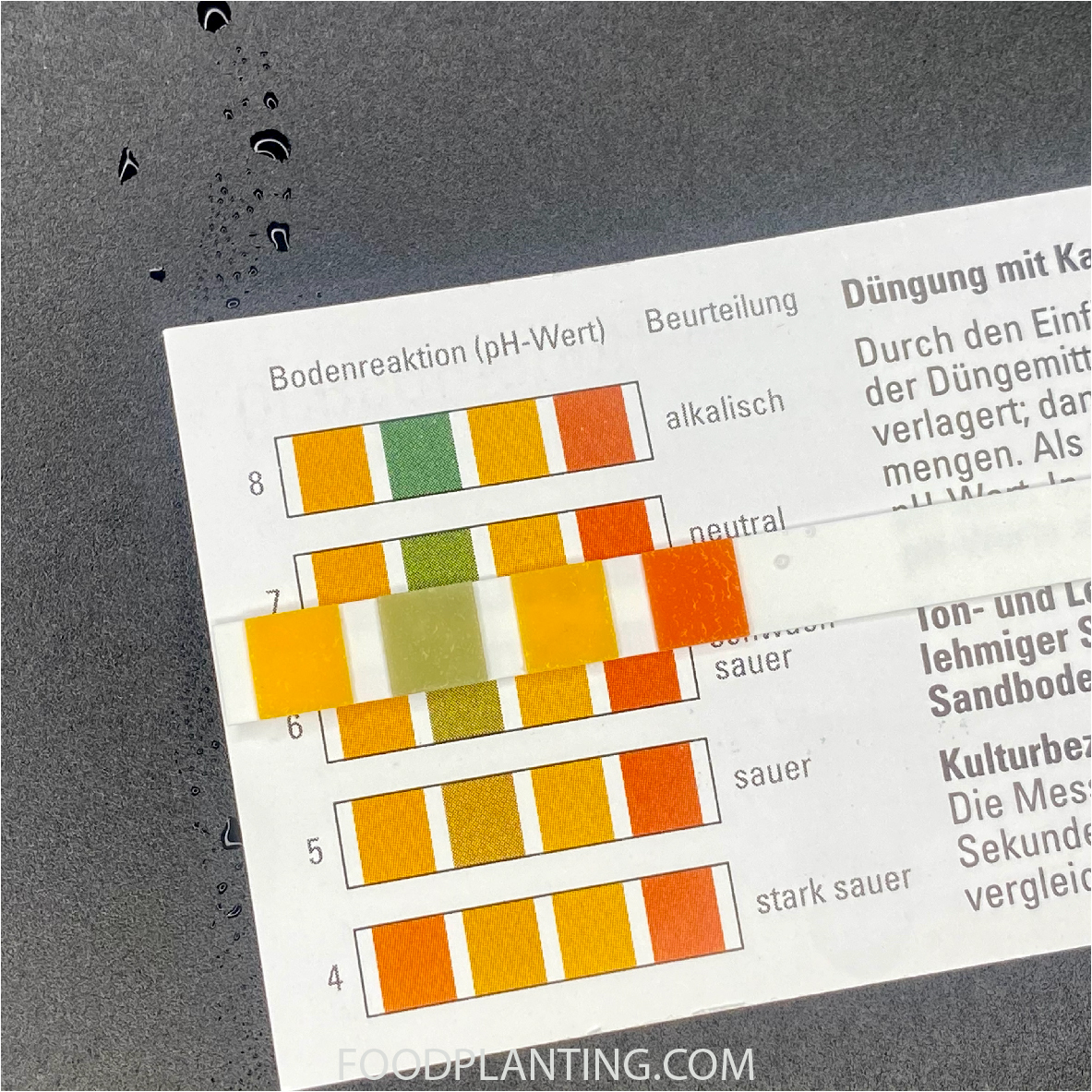 Organisch Bemesten: Zelf Testen Wat De pH-Waarde Van De Grond Is ...