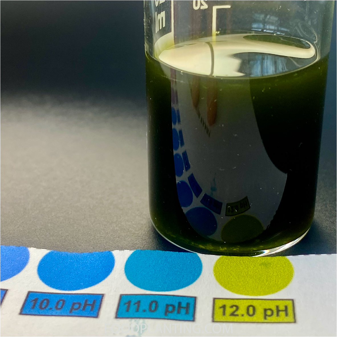 Organisch Bemesten: Zelf Testen Wat De pH-Waarde Van De Grond Is ...