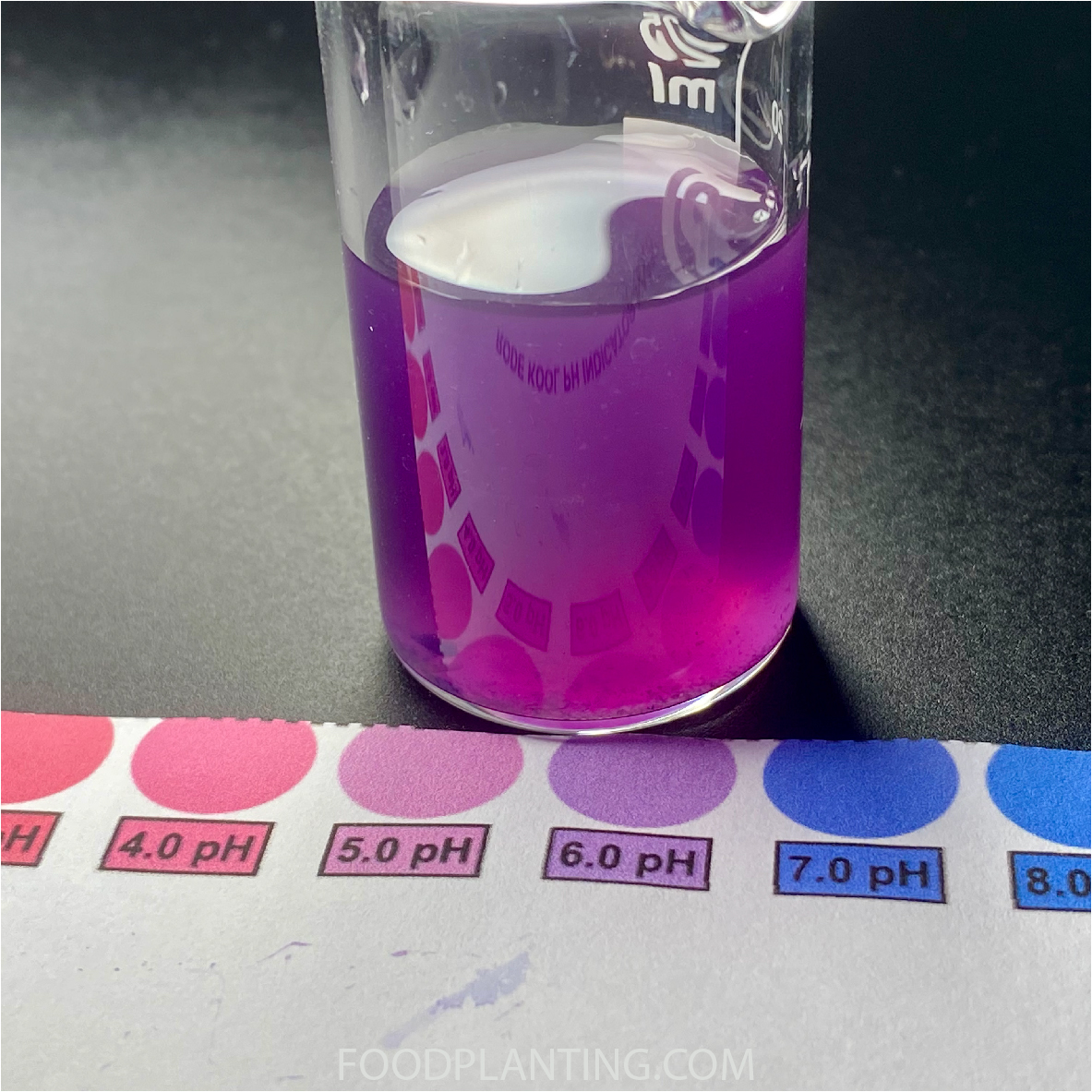 Organisch Bemesten: Zelf Testen Wat De pH-Waarde Van De Grond Is ...