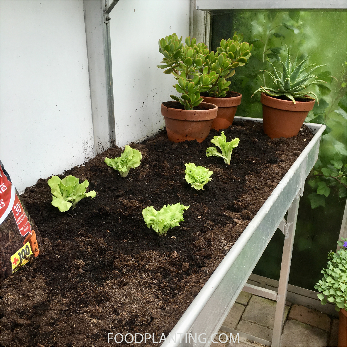 De Beste Moestuinbakken En Kweekbakken Voor In De Tuin En Op Het Balkon ...