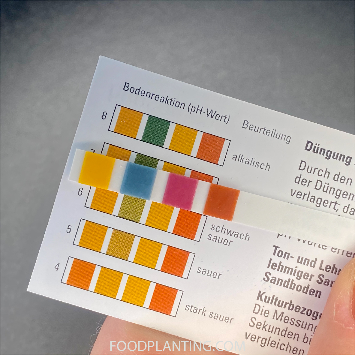 Organisch Bemesten: Zelf Testen Wat De pH-Waarde Van De Grond Is ...