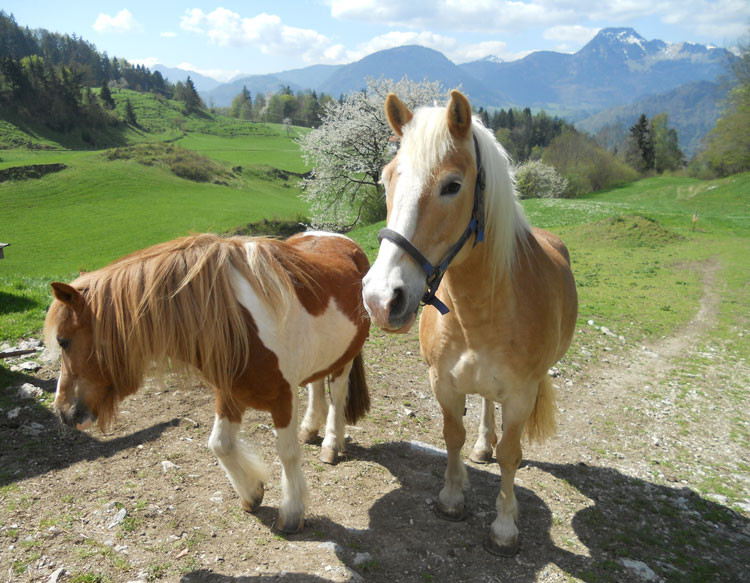 Impressionen - Erl - Passions- und Festspielort Erl in Tirol bei Kufstein
