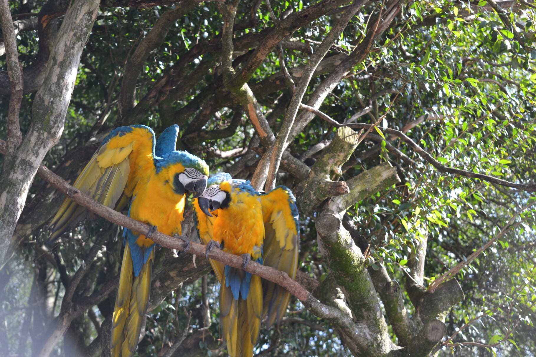 Reserva Rodolfo Tálice - Viajando por Latinoamérica- Zaigua Through the ...