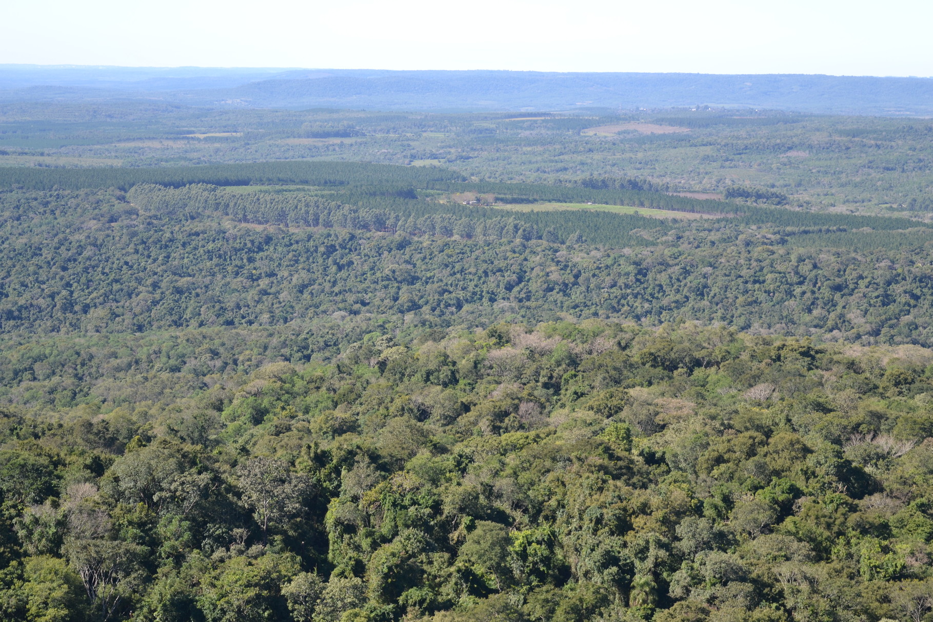 La Selva Misionera - Viajando por Latinoamérica- Zaigua Through the ...