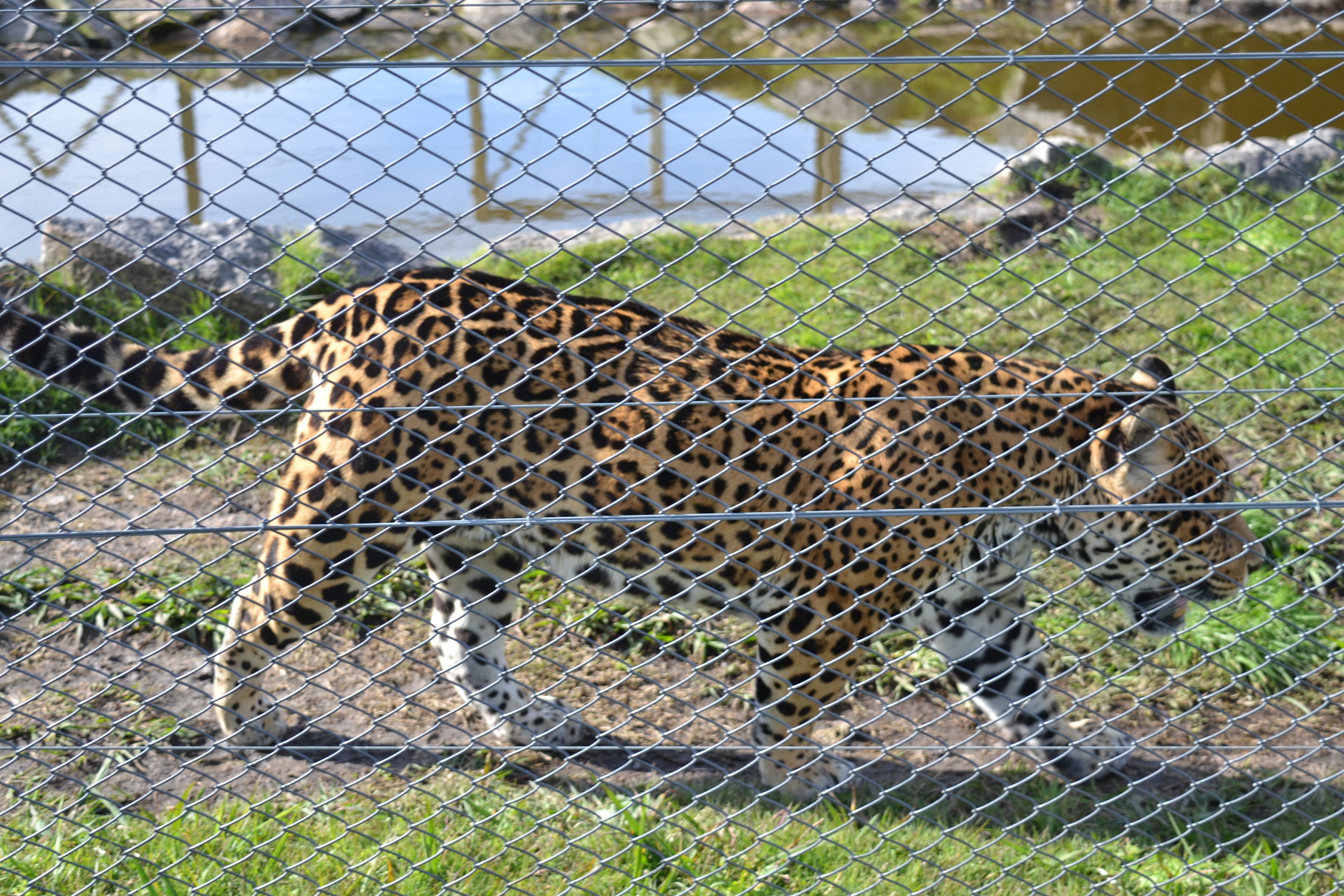 Reserva Rodolfo Tálice - Viajando por Latinoamérica- Zaigua Through the ...