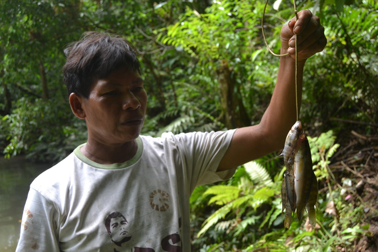 De pesca en el Amazonas - Viajando por Latinoamérica- Zaigua Through ...