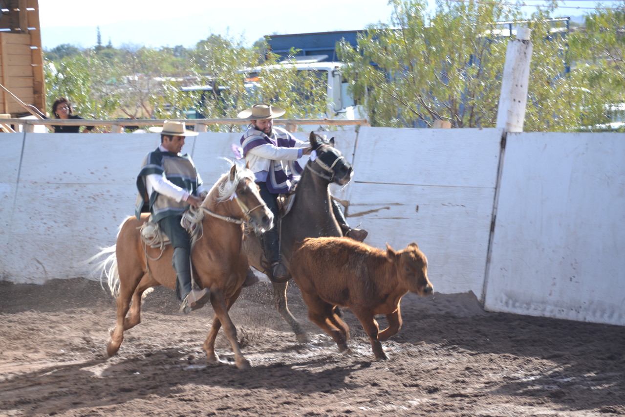 Rodeo Chileno - Viajando por Latinoamérica- Zaigua Through the Americas