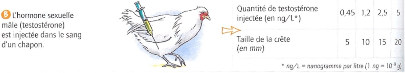 La communication hormonale au sein de l'organisme - Site de cours de ...