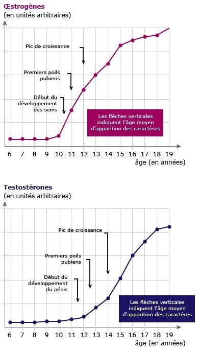 La communication hormonale au sein de l'organisme - Site de cours de ...