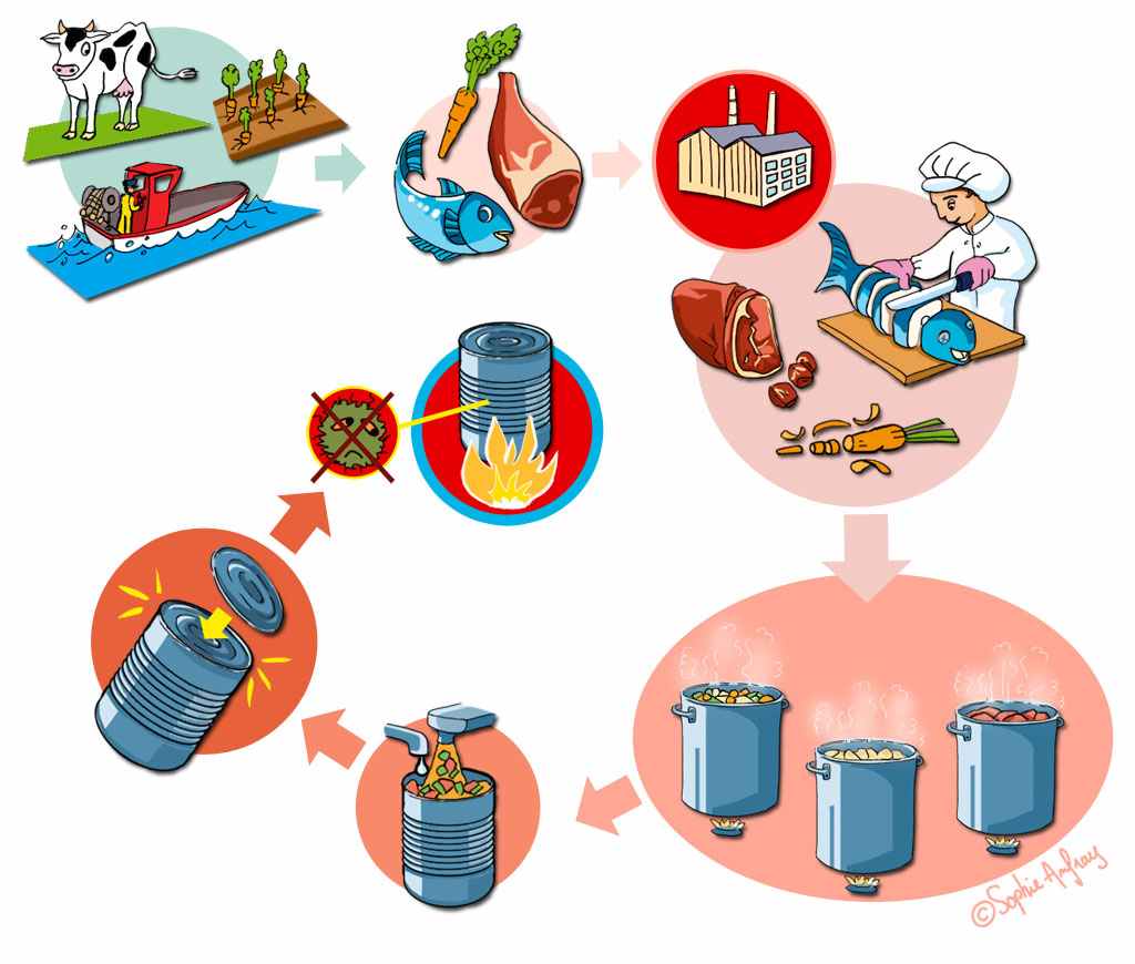 Qualité et innocuité des aliments de nos assiettes : conservation des ...