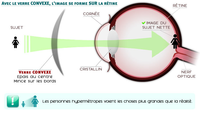 Partie I : de l'oeil au cerveau : quelques aspects de la vision - Site ...