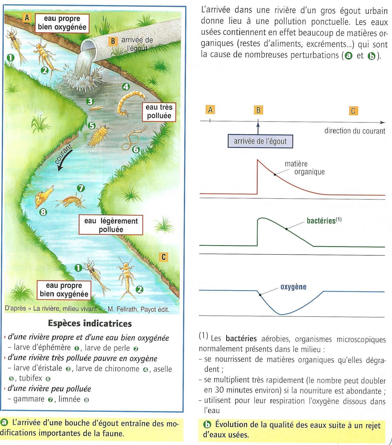 Chapitre 2: la respiration des être-vivants et les conditions du milieu expliquent leur ...