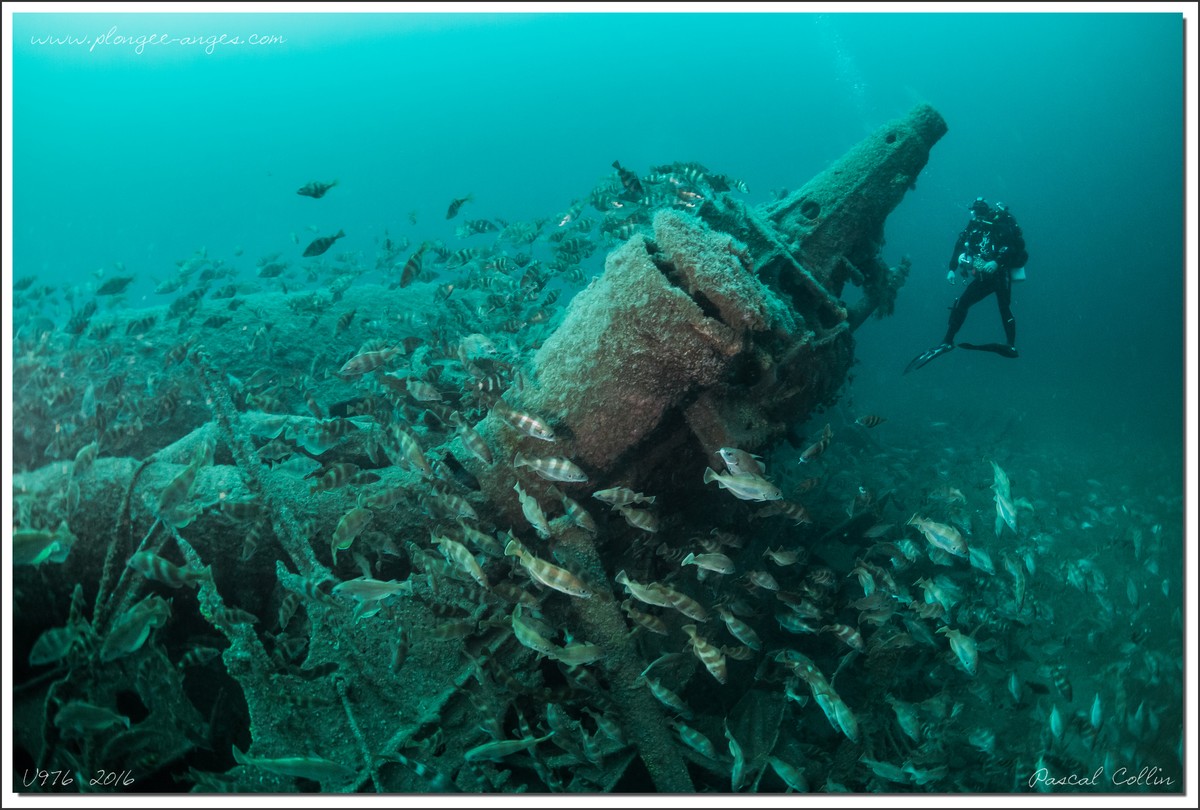 LE U-976 - www.plongee-anges.com