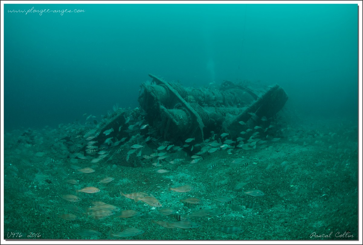 LE U-976 - www.plongee-anges.com