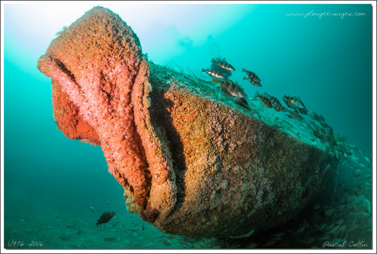 LE U-976 - www.plongee-anges.com