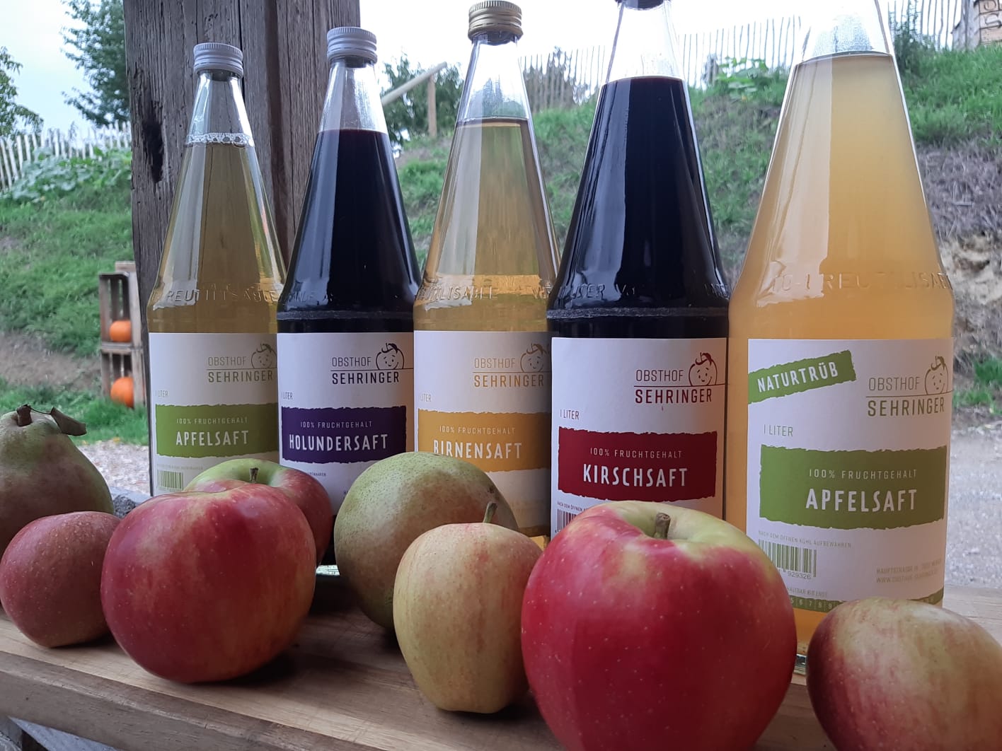 Bildergalerie - obsthof-sehringers Webseite!